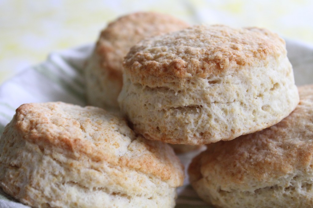 Classic Buttermilk Biscuits - Brittany's Pantry : Brittany's Pantry